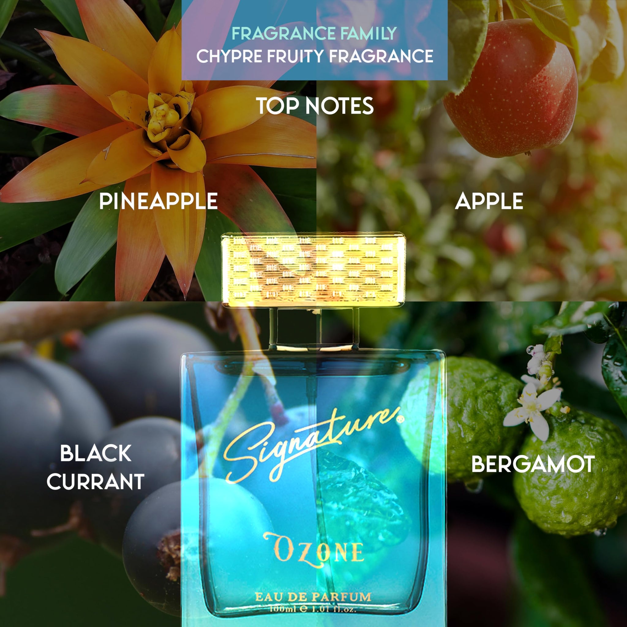 Signature Aura Eau De Parfum "Ozone" - 100 ML - Ban Labs Pvt Ltd