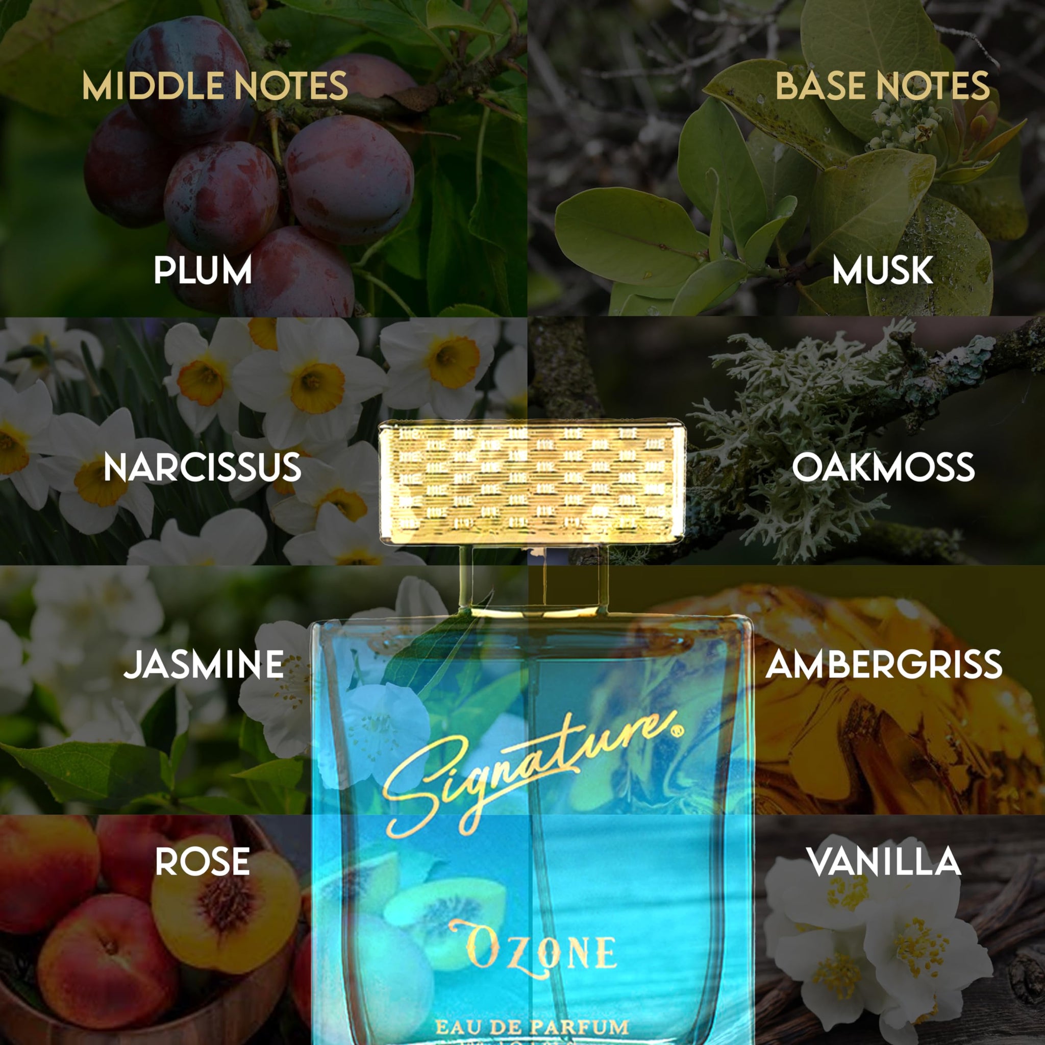 Signature Aura Eau De Parfum "Ozone" - 100 ML - Ban Labs Pvt Ltd